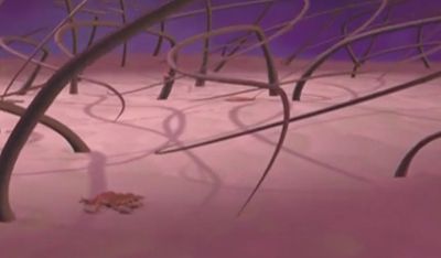 ¿Por qué se produce la infección por ladillas?